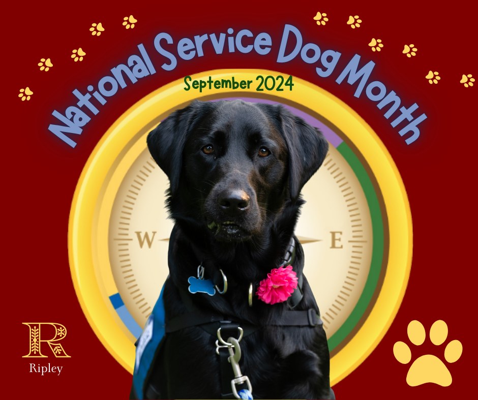 Accessibility – September 2024 – The Compass